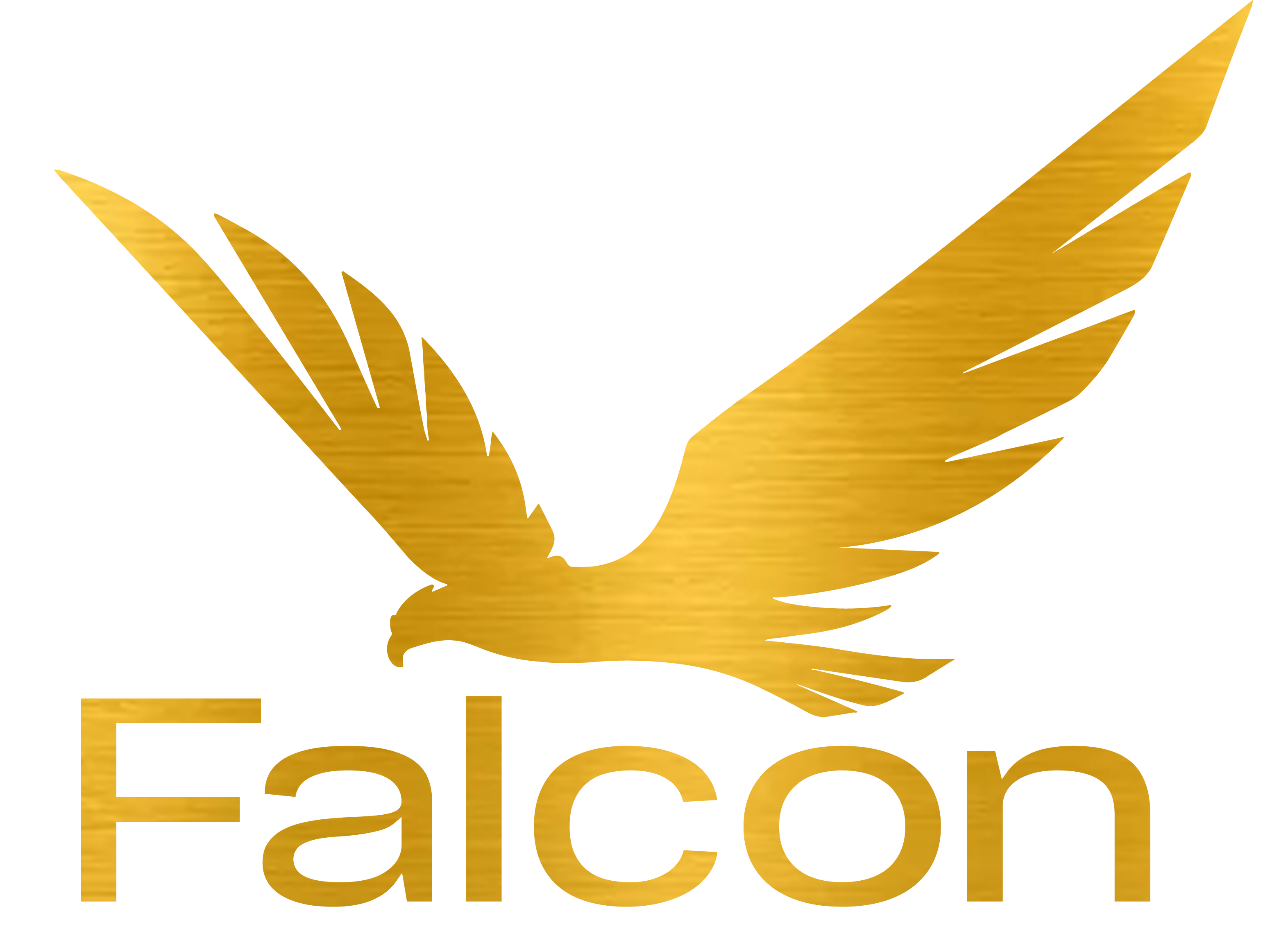Falcon Clothing